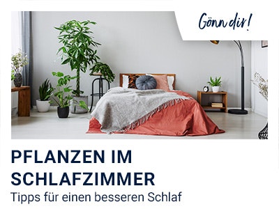 20€ Zalando Rabattcode & 50% Rabatt - Februar 2025