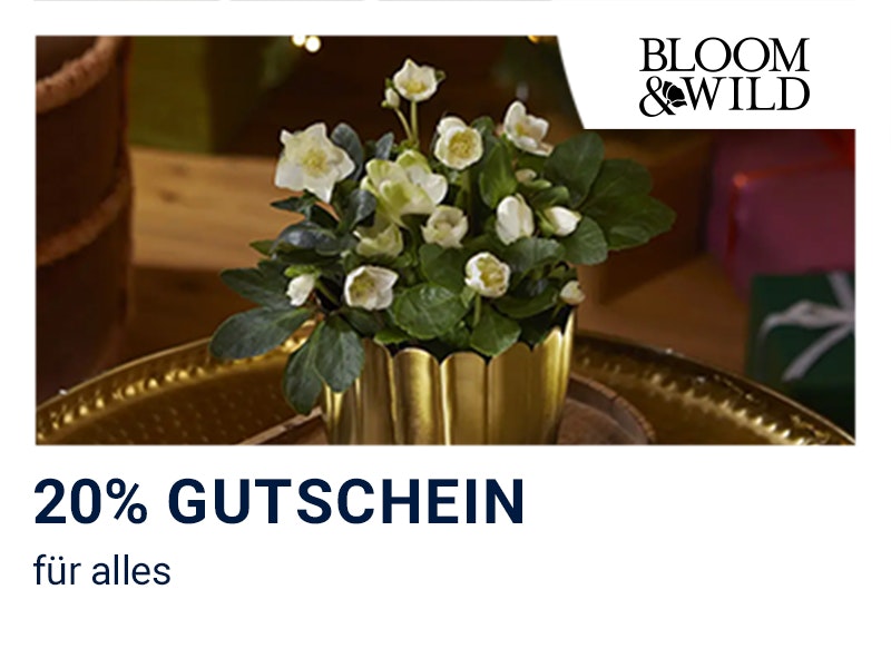 10€ Medpex Gutschein & 5€ Rabatt im Dezember 2025